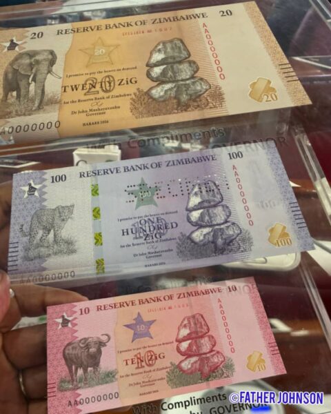 RBZ Introduces New 'Big Five' ZiG Banknotes to Boost Local Currency ...